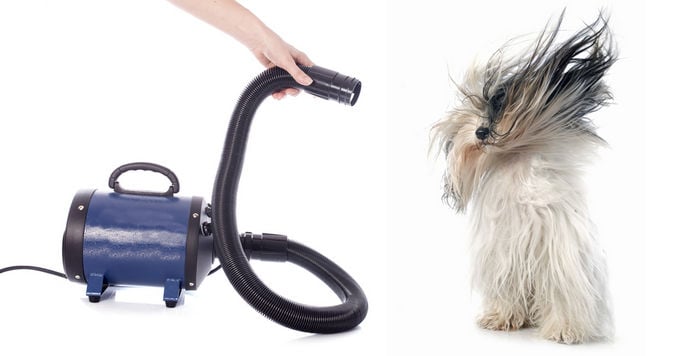 7 Best Methods for Deshedding a Dog With a Step-by-Step Checklist