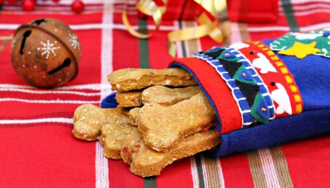24 Christmas Dinner Recipes for Dogs to Celebrate With Them