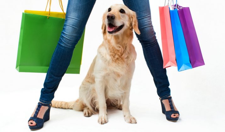 12 Online Dog Supplies Retailers With Best Deals Until 2016's End