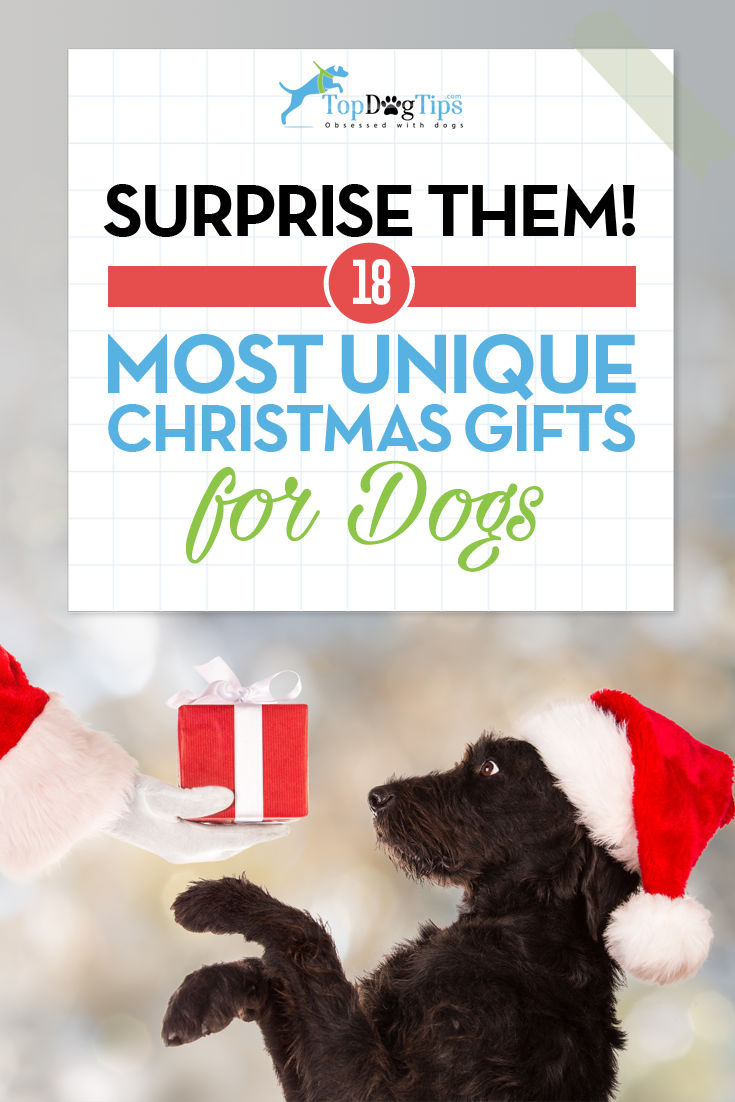 17 Best Christmas Gift Ideas For Dogs Updated 2023 