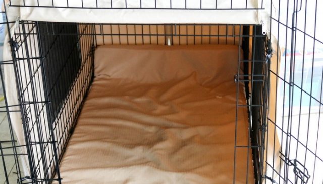 Crate Training a Dog: 16 Effective Crating Tips to Keep Your Dogs Inside
