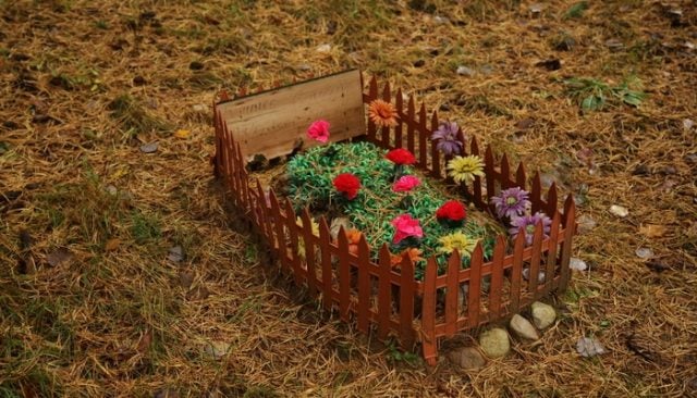 How to Bury a Dog Legally When Your Furry Pal Passes Away