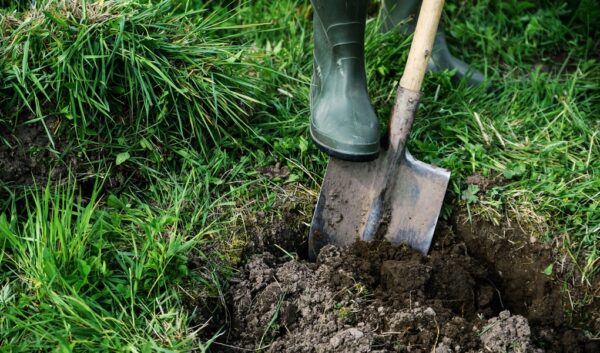 How to Bury a Dog Legally When Your Furry Pal Passes Away