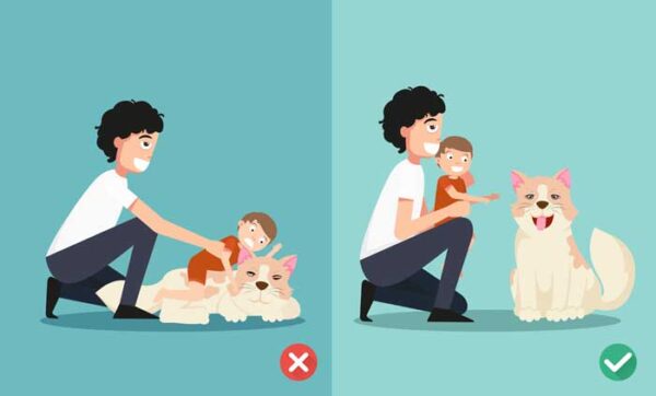 14 Vital Safety Tips for Adopting a Dog When You Have Kids