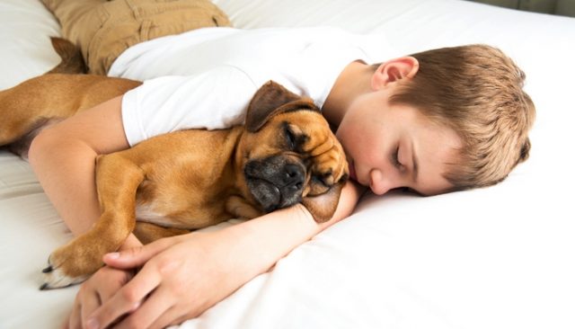 14 Vital Safety Tips for Adopting a Dog When You Have Kids
