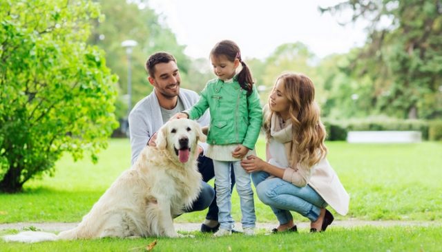 Ready for a Dog? Answer these 27 Questions to Know!