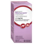 Mobic for Dogs (Meloxicam or Metacam): Can I Give My Dog Mobic?