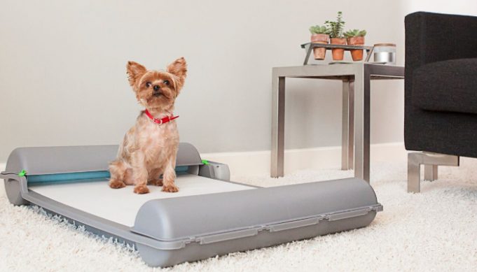 BrilliantPad - the World’s First Self-Cleaning Indoor Dog Potty – Top ...