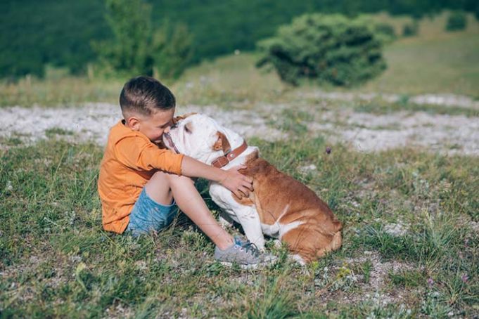 20 World's Most Friendly Dog Breeds (based on genetic personality traits)