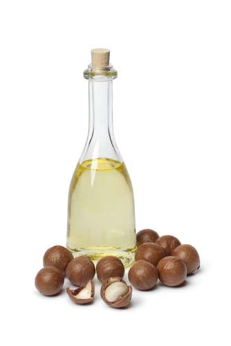 Macadamia Nuts for Dogs 101: Can Dogs Eat Macadamia Nuts?