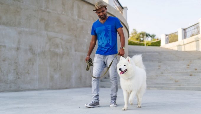 20 World's Most Friendly Dog Breeds (based on genetic personality traits)