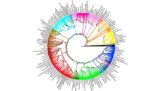 The Evolutionary Tree of Dogs is Finally Here (New Study)