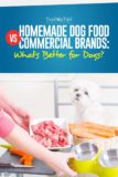 Homemade Dog Food vs Commercial Brands: Which Is Better?