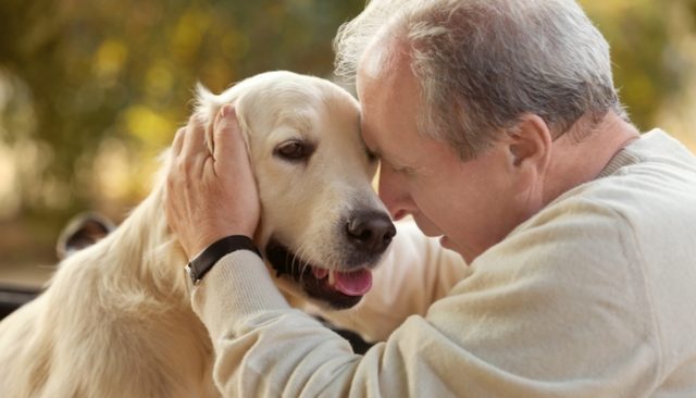 Science on Therapy Dogs for Depression: Fact or Fiction?