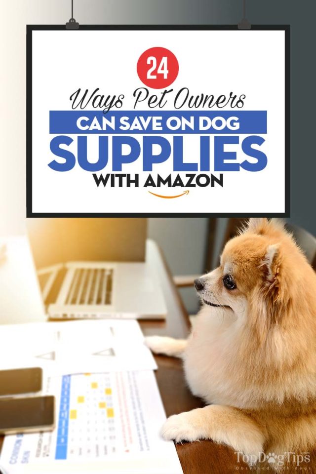 24 Ways Pet Owners Can Save on Dog Supplies with Amazon