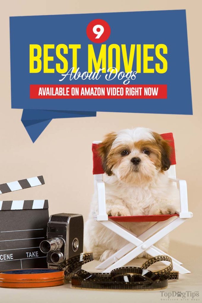 9 Best Movies About Dogs Available on Amazon Video Right Now