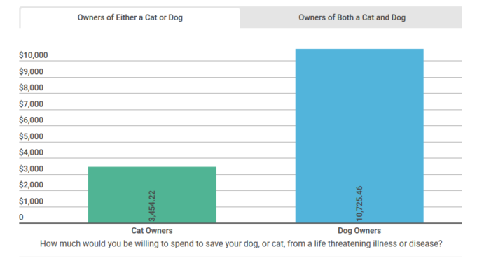 Dog Owners vs Cat Owners: Study Reveals Who's Willing to Spend More to ...