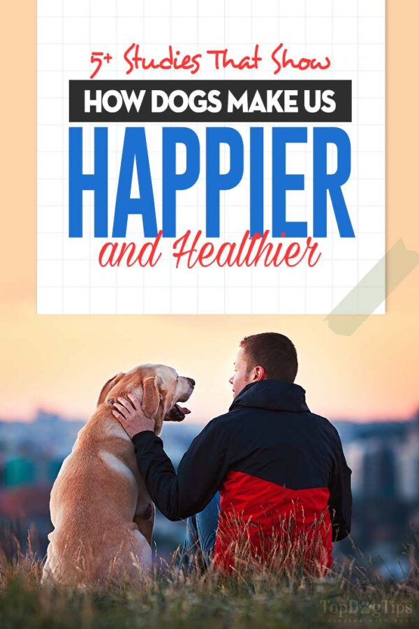 This Is Why Science Says Dogs Make Humans Happier and Healthier