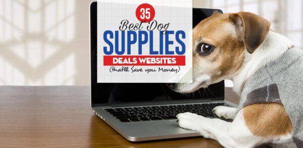 35 Best Dog Supplies Deals Websites for Buy Cheap Pet Products in 2020