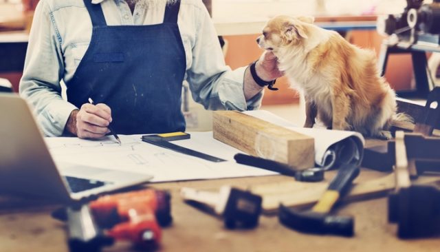 DIY Dog Stairs: How to Build Dog Steps for Bed, Car and More