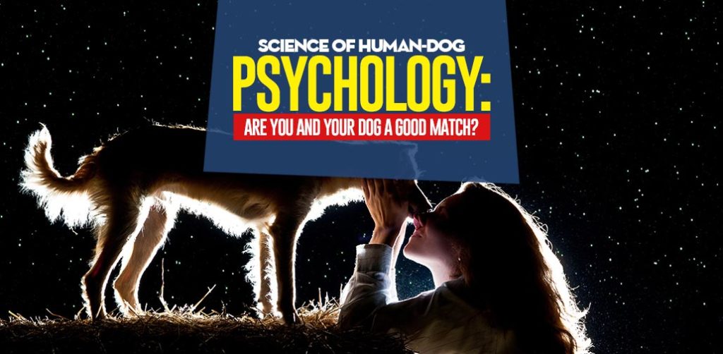 Human-Dog Psychology: Are You and Your Dog a Good Match?