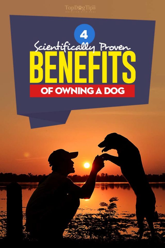 4 Scientifically Proven Physical and Social Benefits of Owning a Dog