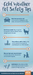 When Is It Too Cold for Dogs In Winter and What Should You Do