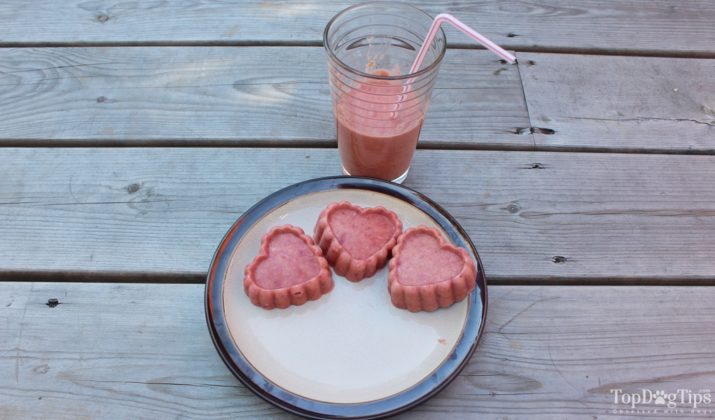Doggy Fruit and Vegetable Homemade Smoothie Recipe