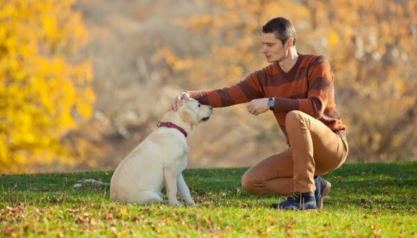 11 Important First Time Dog Owner Tips to Ensure a Smooth Adoption