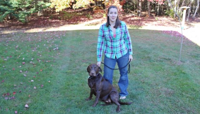 VIDEO: K9 Bridle No-Pull Training Device for Dogs Review