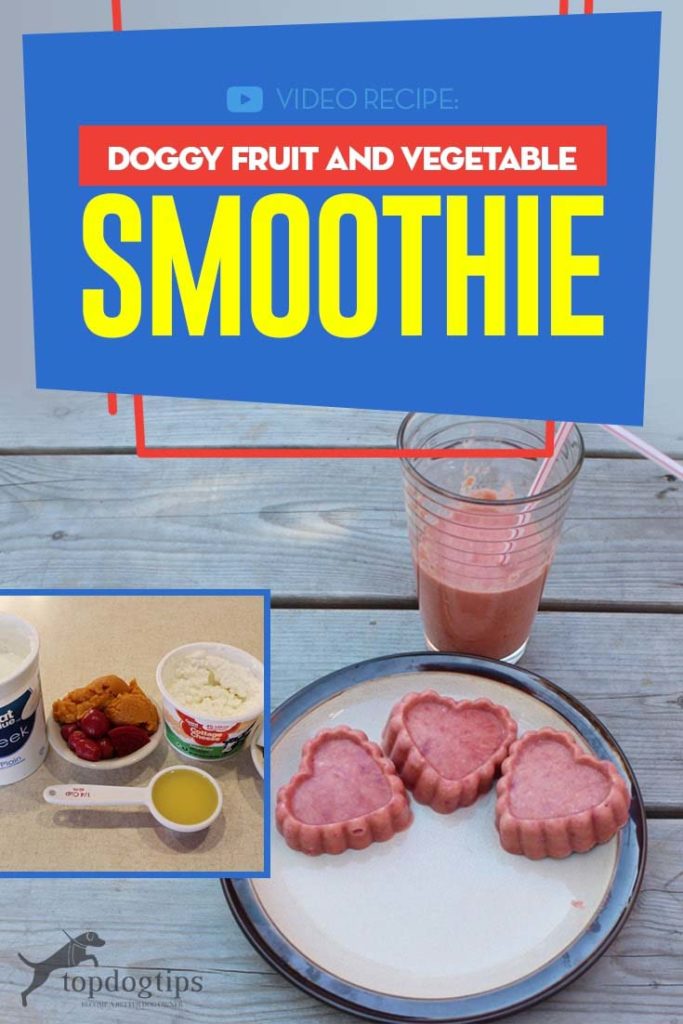 Doggy Fruit and Vegetable Homemade Smoothie Recipe