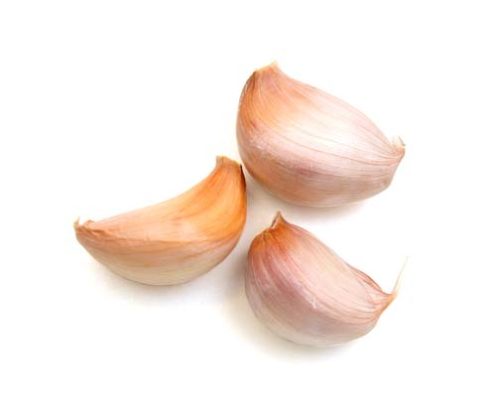 Why Is Garlic Bad for Dogs and Can Dogs Eat Garlic in Small Amounts?