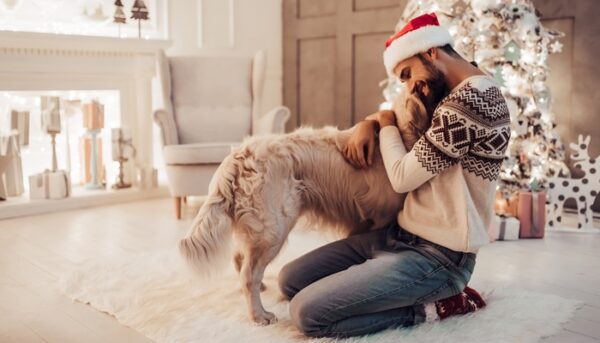 82 Heartwarming Christmas Dog Movies [Infographic]
