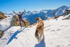 25 Fun Winter Adventures to Try With Your Dog This Season