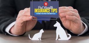 Infographic: 19 Pet Health Insurance Tips to Pick the Best Provider & Plan