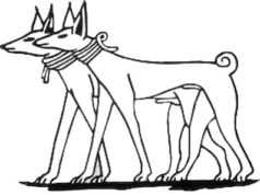 30 Extinct Dog Breeds That Have Forever Disappeared from the Planet