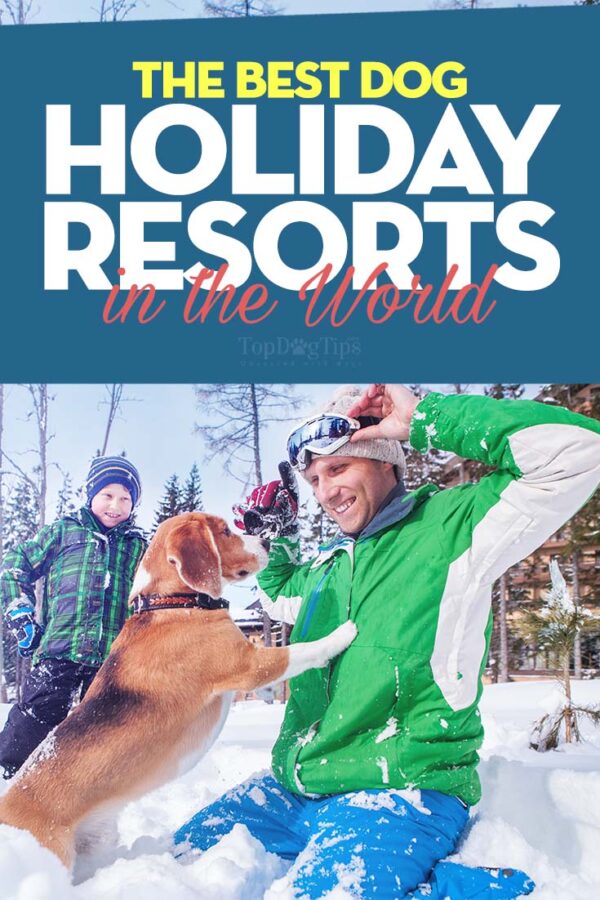 The Best Dog Holiday Resort Stays in the World for 2018