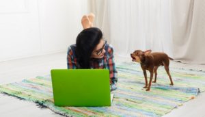 20 Most Talkative Dog Breeds That Bark the Most