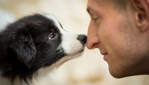 Puppy Socialization Checklist: How, When and Why to Socialize a Puppy