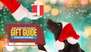 41 Most Unique Holiday Gift Ideas for Dog Owners and Dog Lovers ...