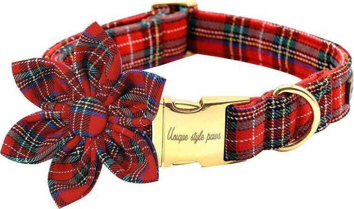 Top 21 Best Christmas Dog Collar Choices for This Holiday Season
