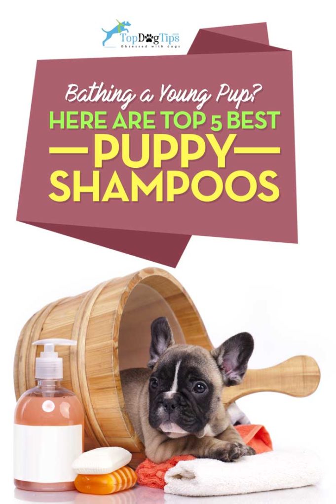 The Best Puppy Shampoo Brands (With Neutral pH Acidity)