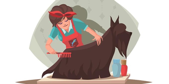11 Quick Steps for a Complete Dog Grooming Session [Infographic]