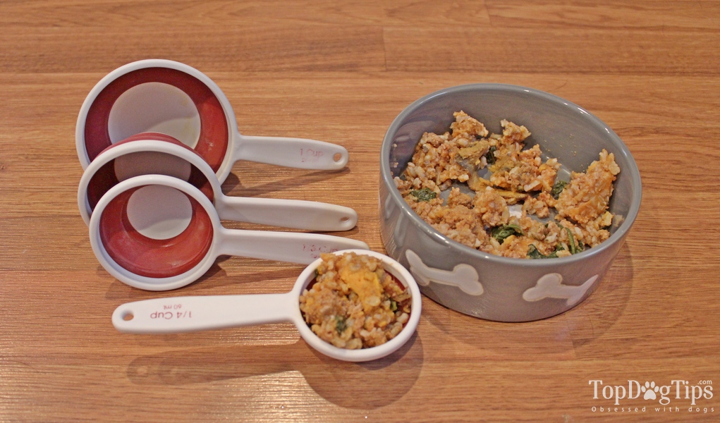 How Much To Feed A Dog Commercial Food And Homemade Food Guide