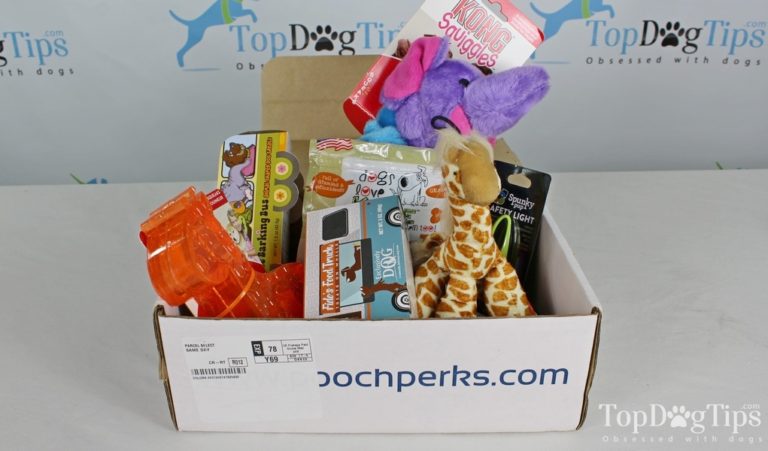 15 Best Dog Subscription Box (Updated 2023)