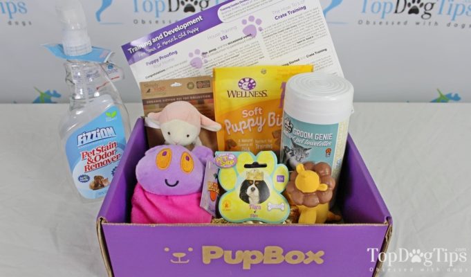 15 Best Dog Subscription Box Choices of 2020