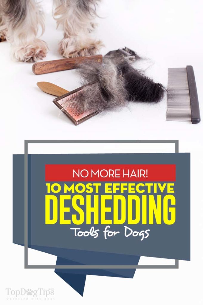 10 Best De-shedding Tools for Dogs in 2020
