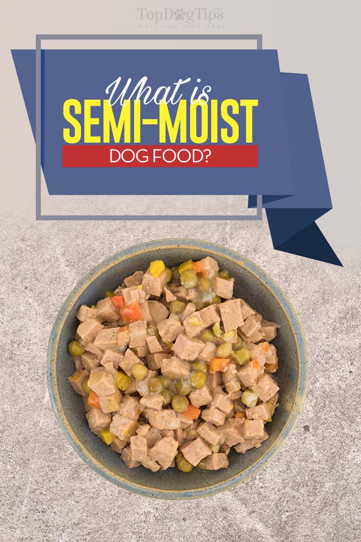 Semi Moist Dog Food What It Is And How It Compares To Other Types