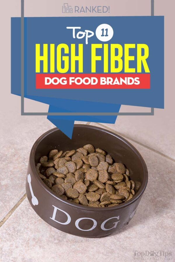 11 Best High Fiber Dog Food Brands (Digestion & Anal Glands)