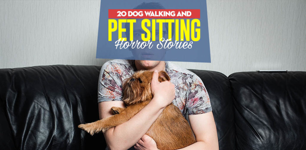 20 Crazy Dog Walking and Pet Sitting Horror Stories